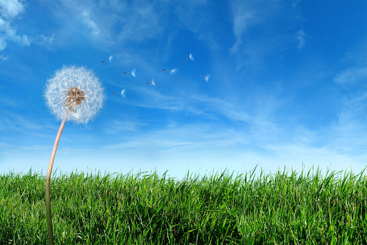 TA Luft – einfach erklärt! – VBCI und VCI-Bayern